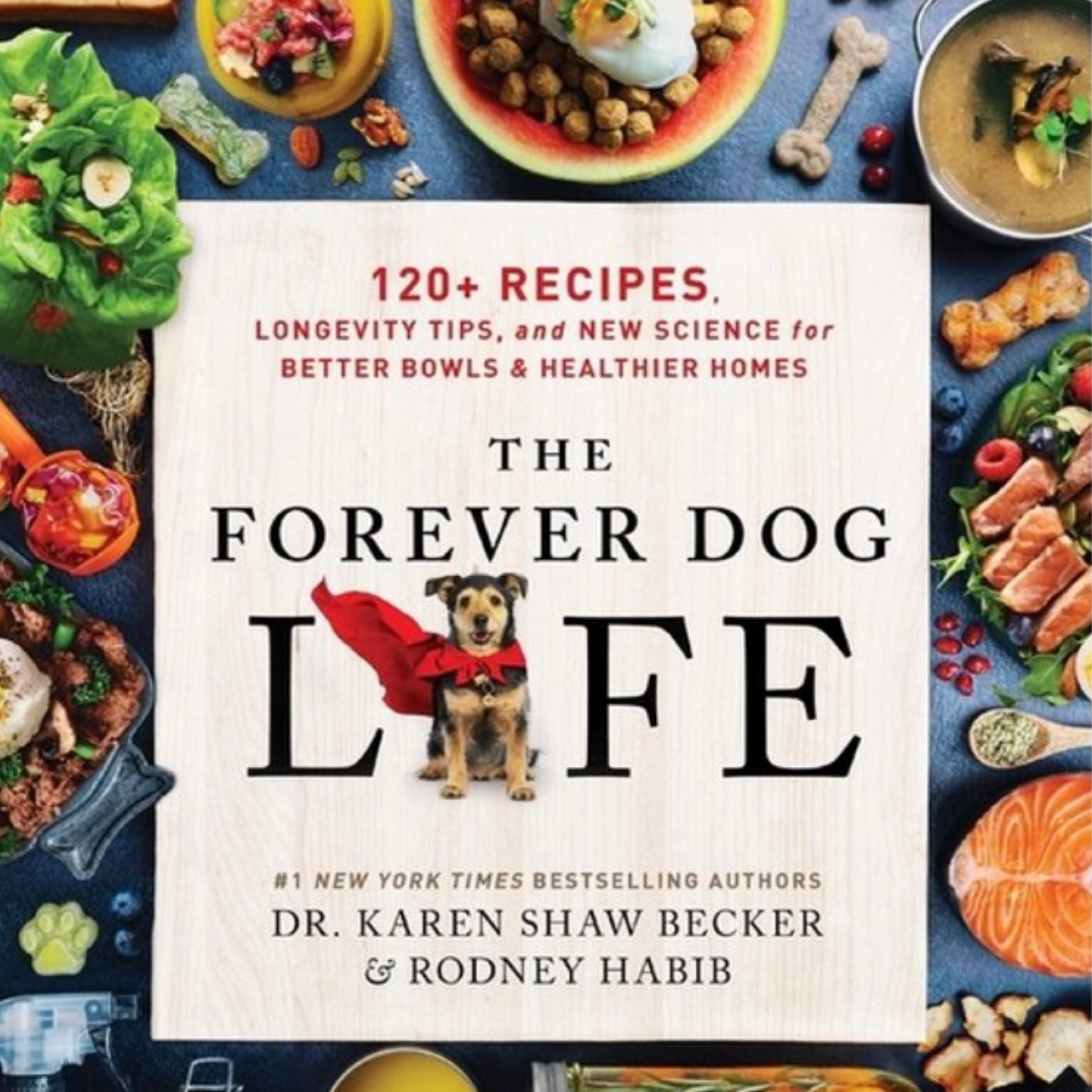 Forever Dog Life Book | Lava Paws