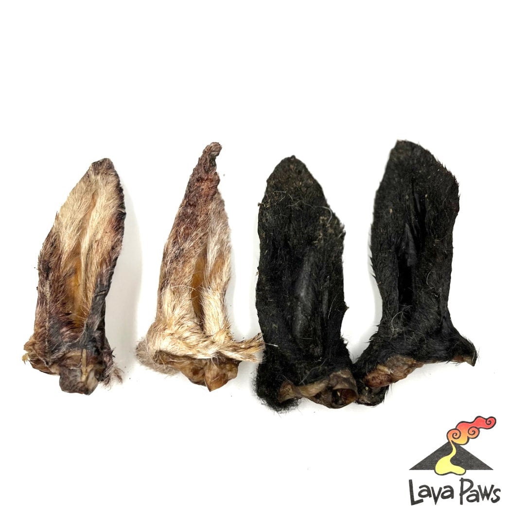 Sheep Ears | Lava Paws